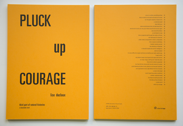 PLUCK UP COURAGE- des soucis pour les soucis - 2016 « lise duclaux